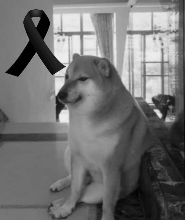 Cheems – Café Anime Lair